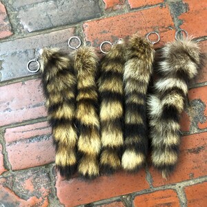 Raccoon Tails | Raccoon Tail Keychain | Taxidermy Keychain | Raccoon ...