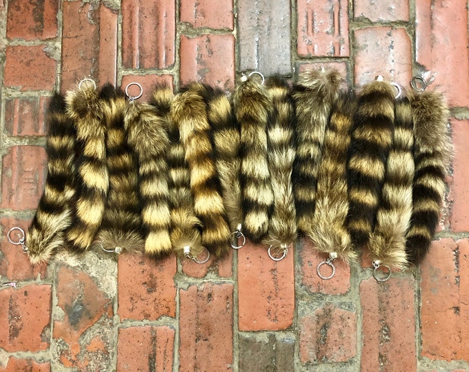 Raccoon Tails | Raccoon Tail Keychain | Taxidermy Keychain | Raccoon ...