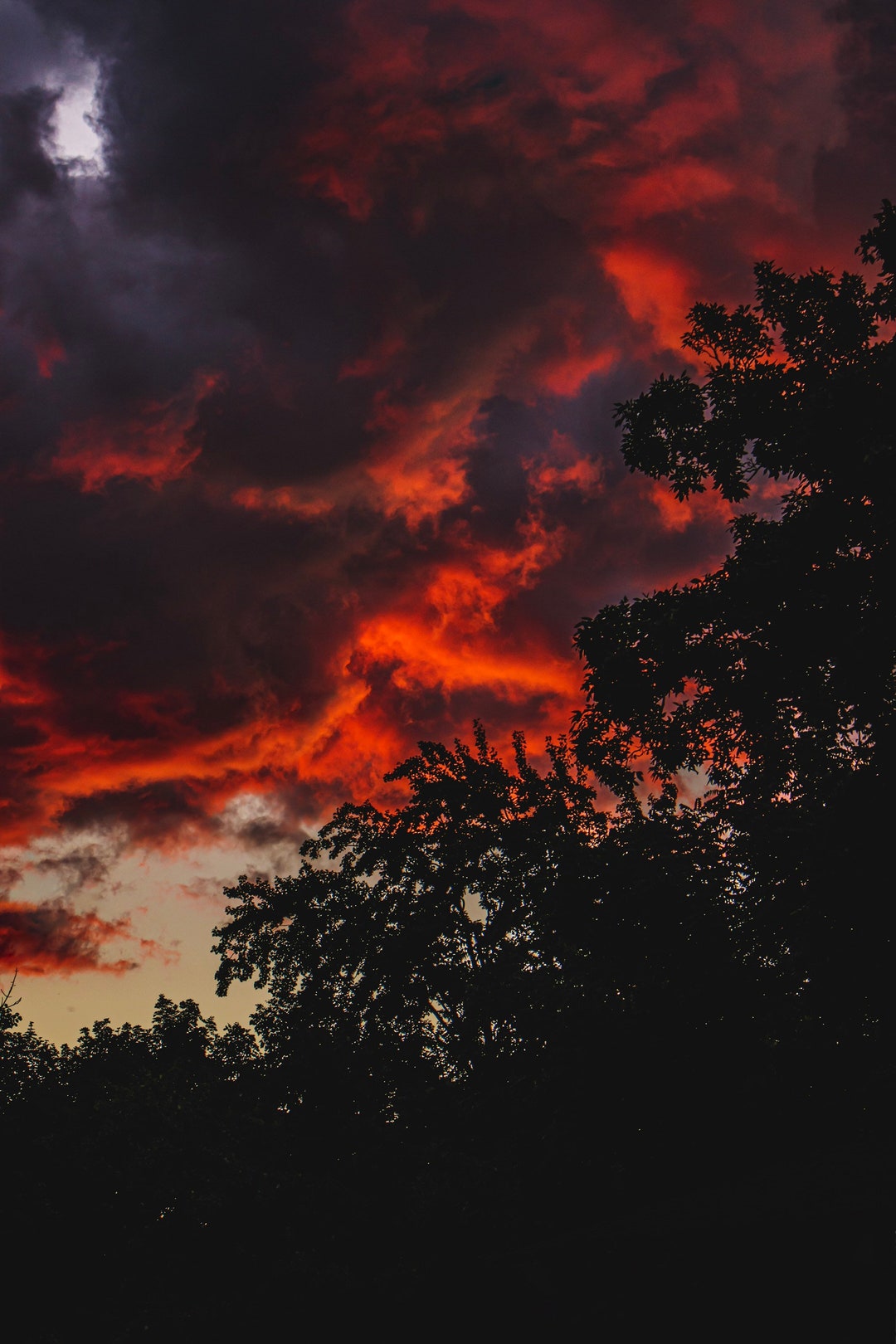 Napalm Skies Color Photography Sunrise Sunset Print - Etsy France