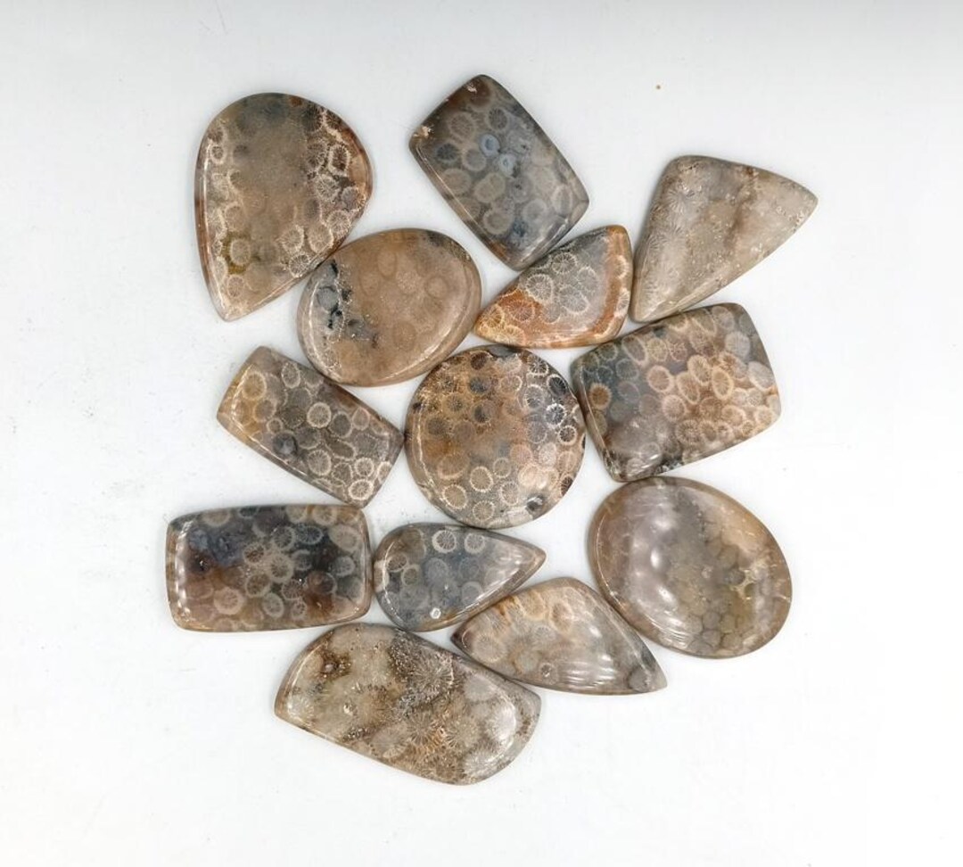 Fancy Fossil Coral Cabochon Natural Fossil Gemstone Jewelry Making ...