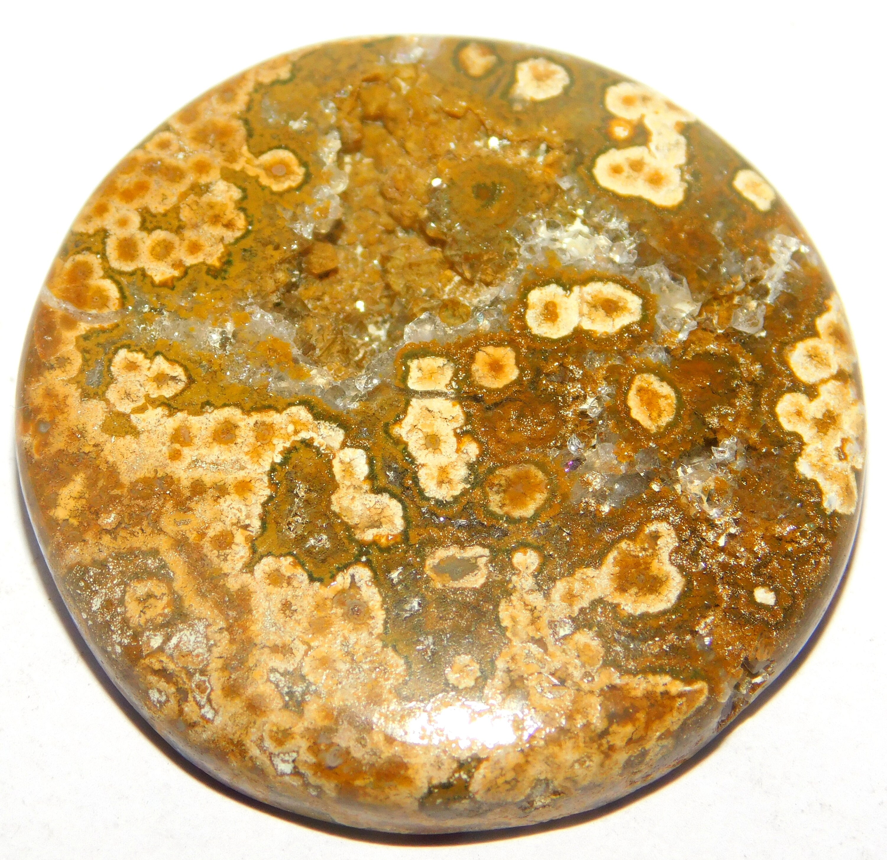 OCEAN JASPER Brown Fantastic Cabochon Lot Gemstone Natural | Etsy