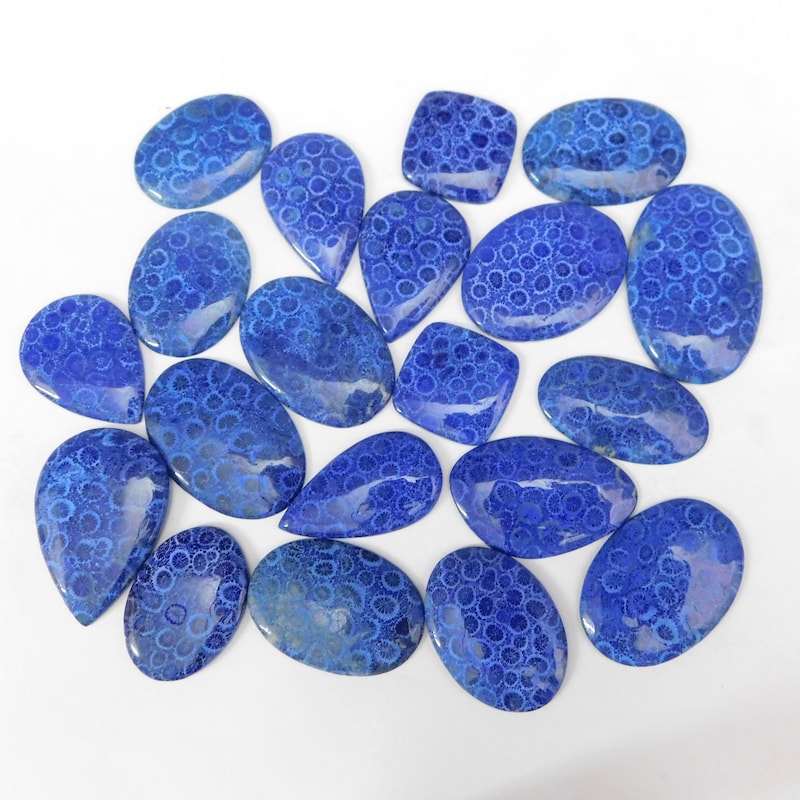 Fossil Coral - Etsy