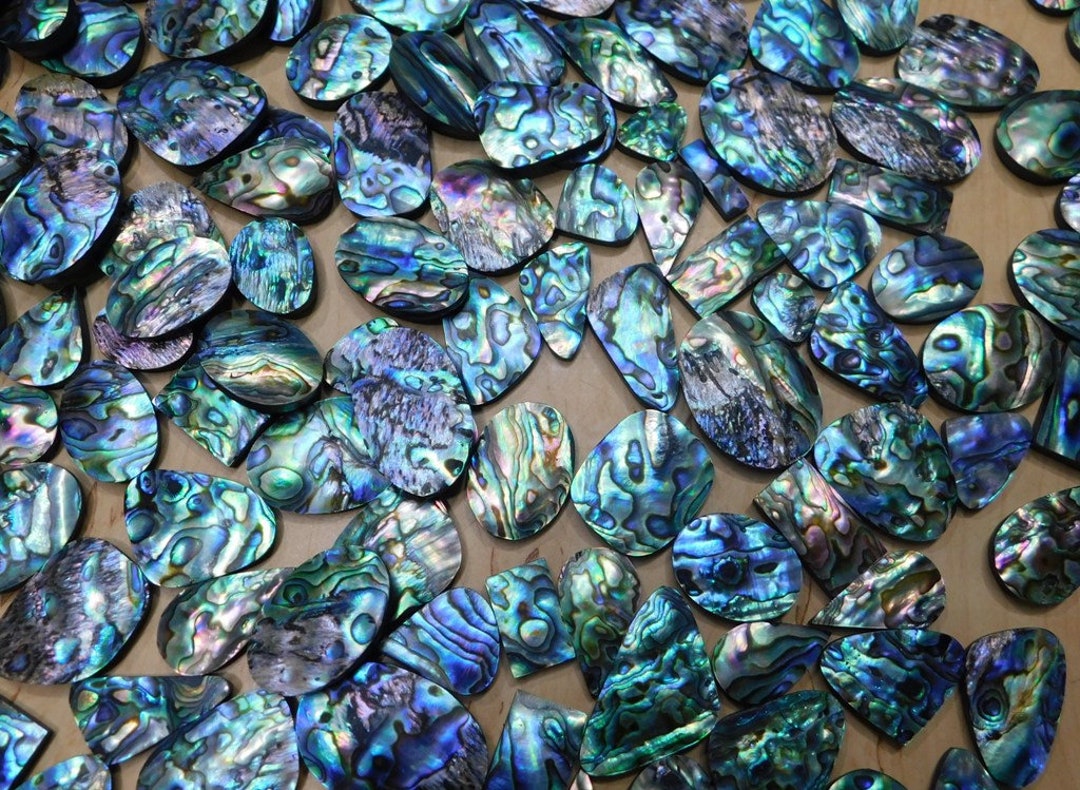 PAUA Abalone Shell Gemstone Mix Shape Size Cabochon Weight - Etsy