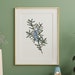 Digital Wall Art, Juniper Sprig, Berries, Botanical, Line Art, Gift - Etsy