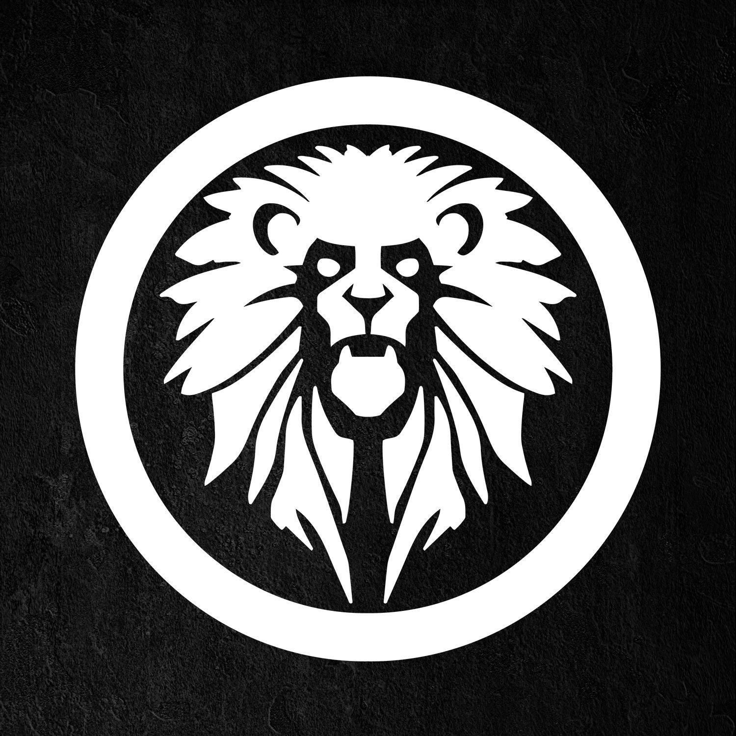 Guild Wars 2 Vinyl Decals (13 to Choose From) - Stickers for Laptop ...