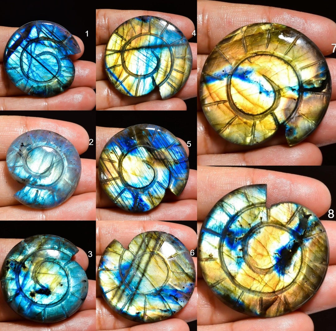Supreme Top Quality 100% Natural Labradorite Ammonite Fancy Shape Carved Loose Gemstone for ...