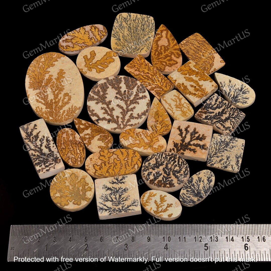 Natural Psilomelane Dendrite - Leaf Jasper - Dendritic Limestone ...