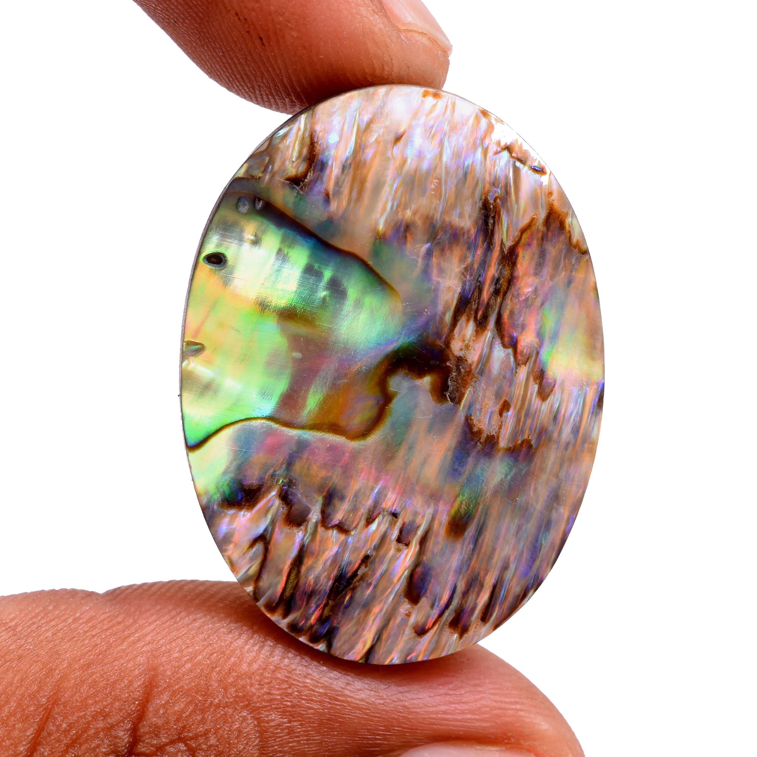 Natural Abalone shell gemstone 42 CT 33x24x6 MM one side | Etsy