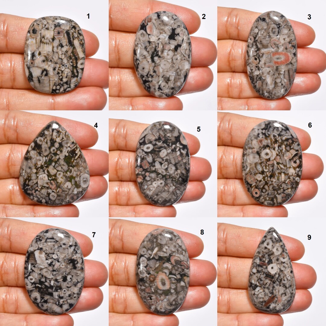 Designer Crinoid Fossil Cabochon Hand Polished Jasper With Crinoid ...