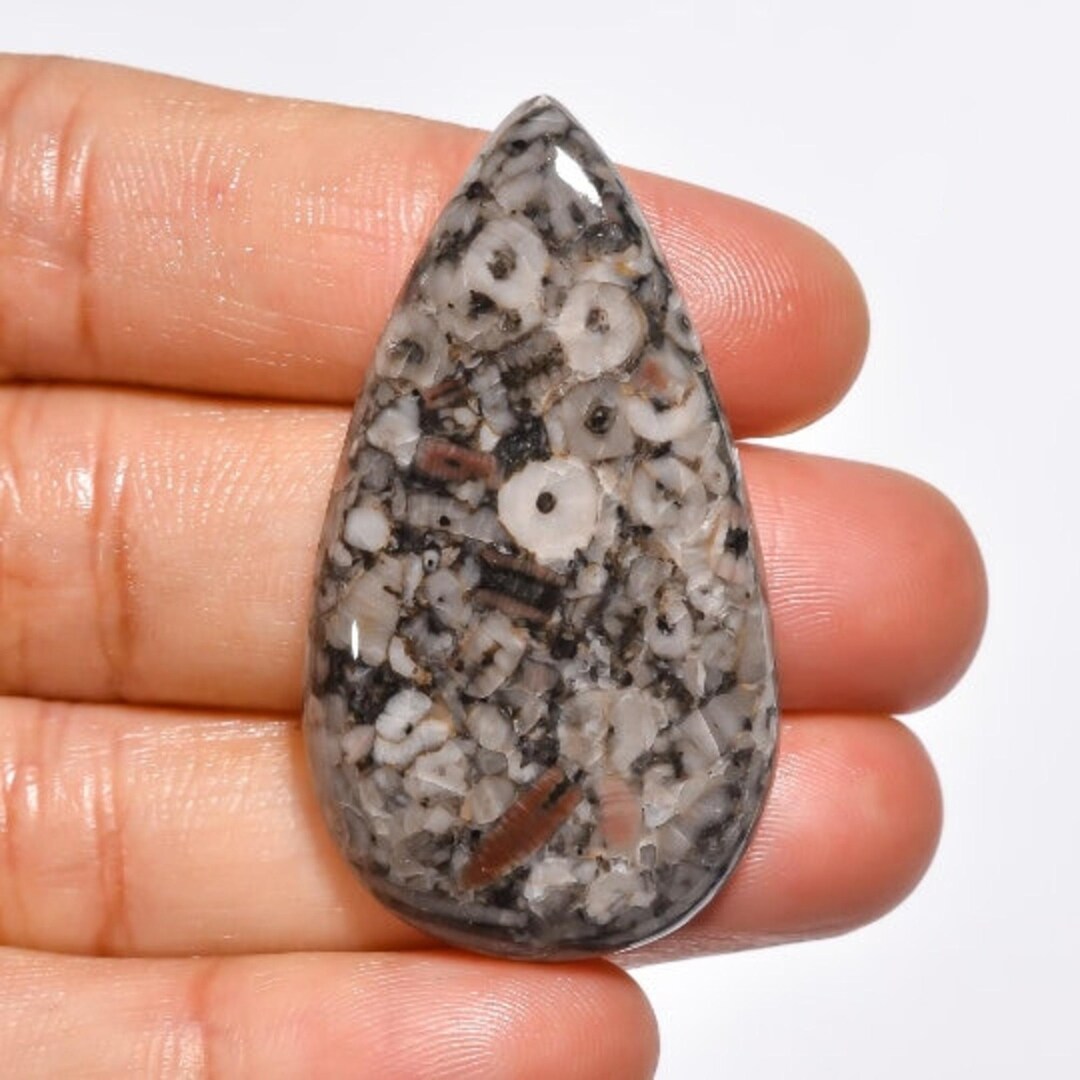Designer Crinoid Fossil Cabochon Hand Polished Jasper With Crinoid ...