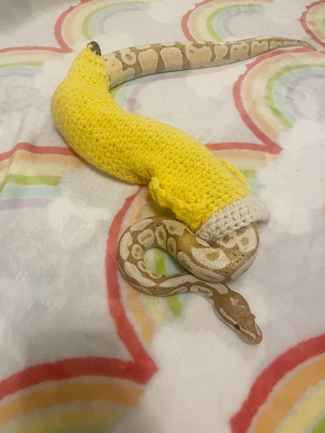 Banana Snake Sweater | Halloween Costume | Crocheted Snake Sweater ...