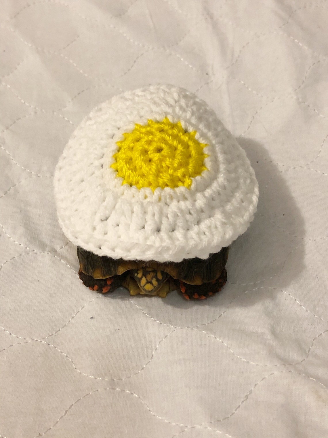 Egg tortoise costume tortoise hat tortoise halloween | Etsy