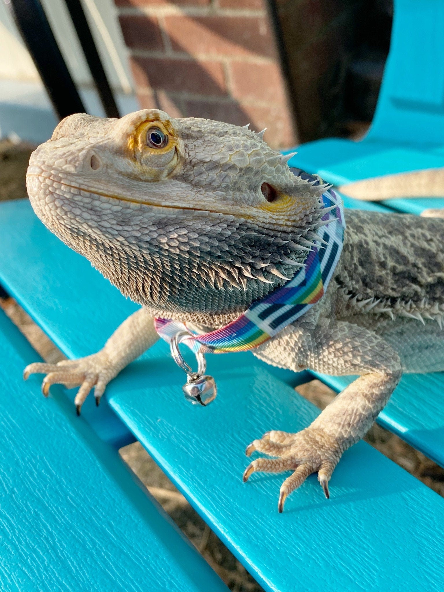 Small Animal Collar With Bell Lizard Collar Ferret Collar - Etsy