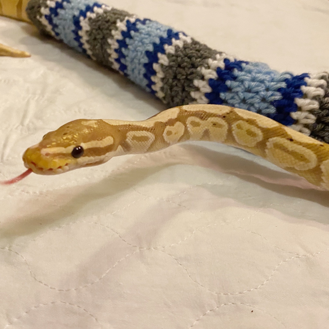 Snake Sweater | Christmas Sweater | Crocheted Snake Sweater | Crocheted ...