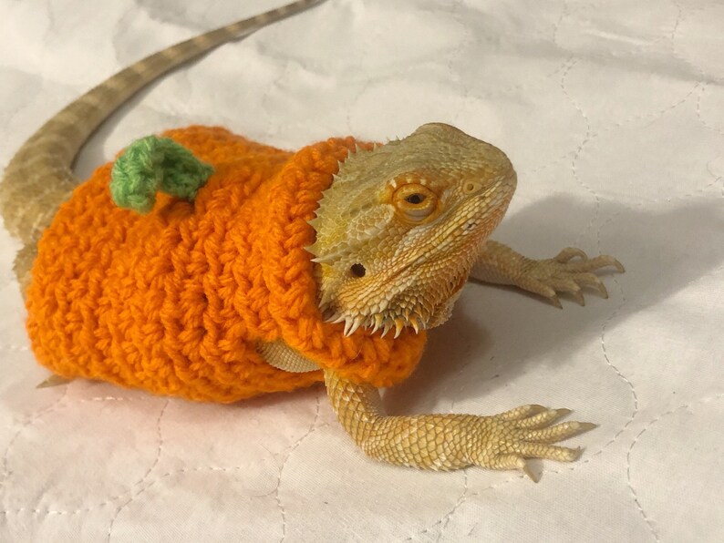 Crocheted Adult Pumpkin Bearded Dragon Costume | Bearded Dragon Costume ...
