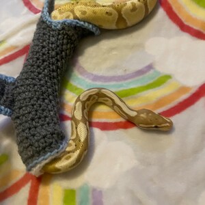 Shark Snake Sweater | Halloween Costume | Crocheted Snake Sweater ...