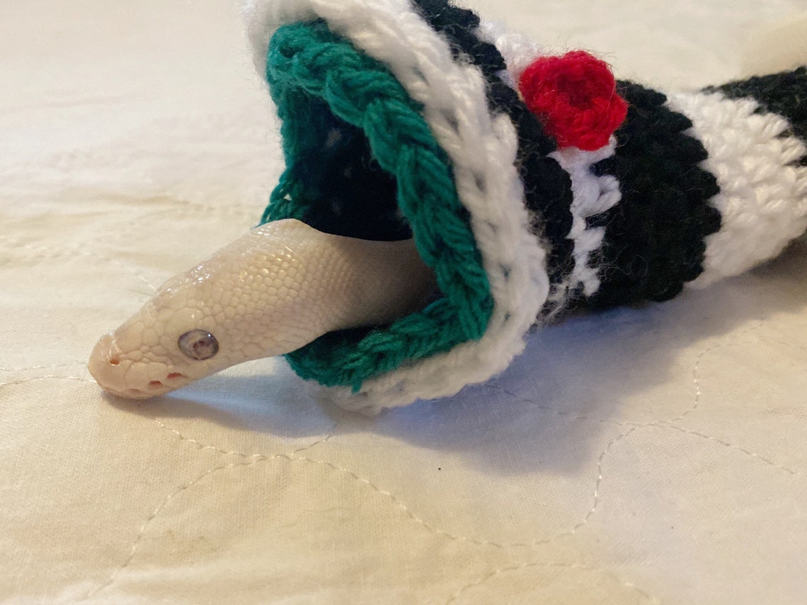Sandworm Snake Sweater Halloween Costume Crocheted Snake - Etsy