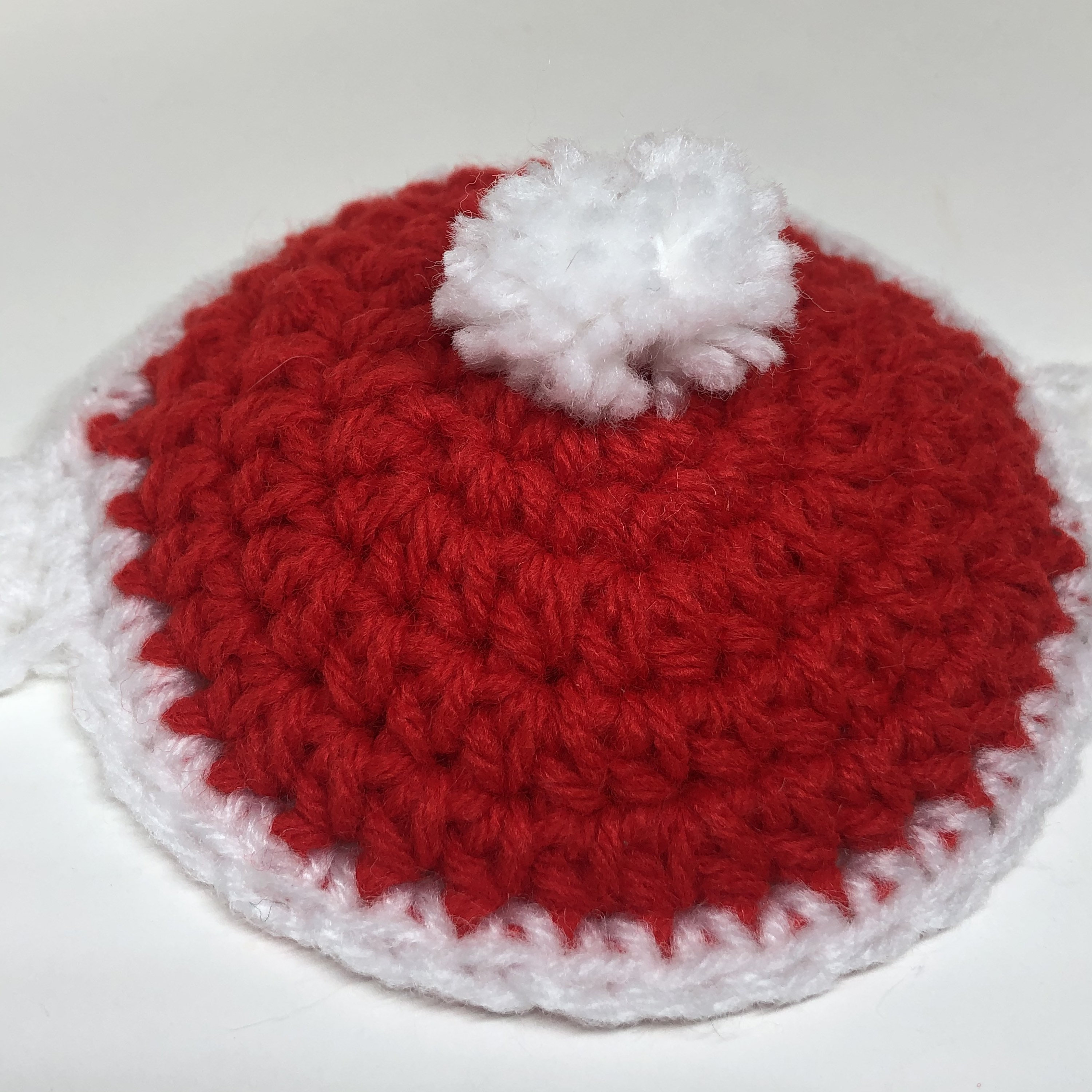 Santa Hat Tortoise Costume | Tortoise Hat | Tortoise Christmas Costume ...