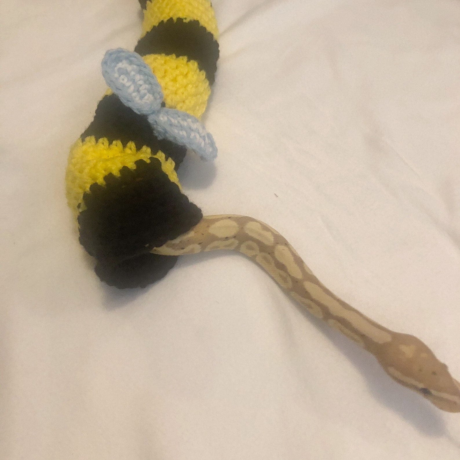 Bee Snake Sweater Halloween Costume Crocheted Snake - Etsy