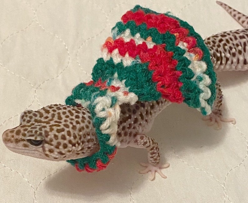 Christmas Gecko Costume Gecko Cape Crocheted Pet Costume - Etsy
