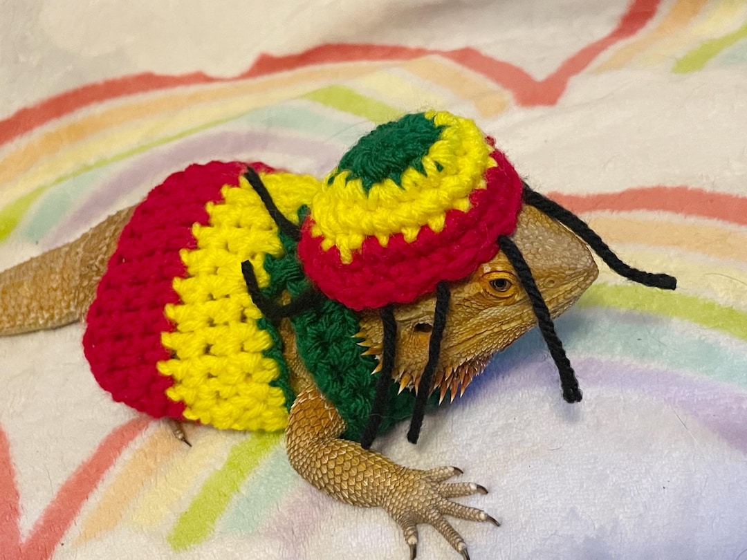 Crocheted Adult Rastafarian Bearded Dragon Costume | Bearded Dragon ...