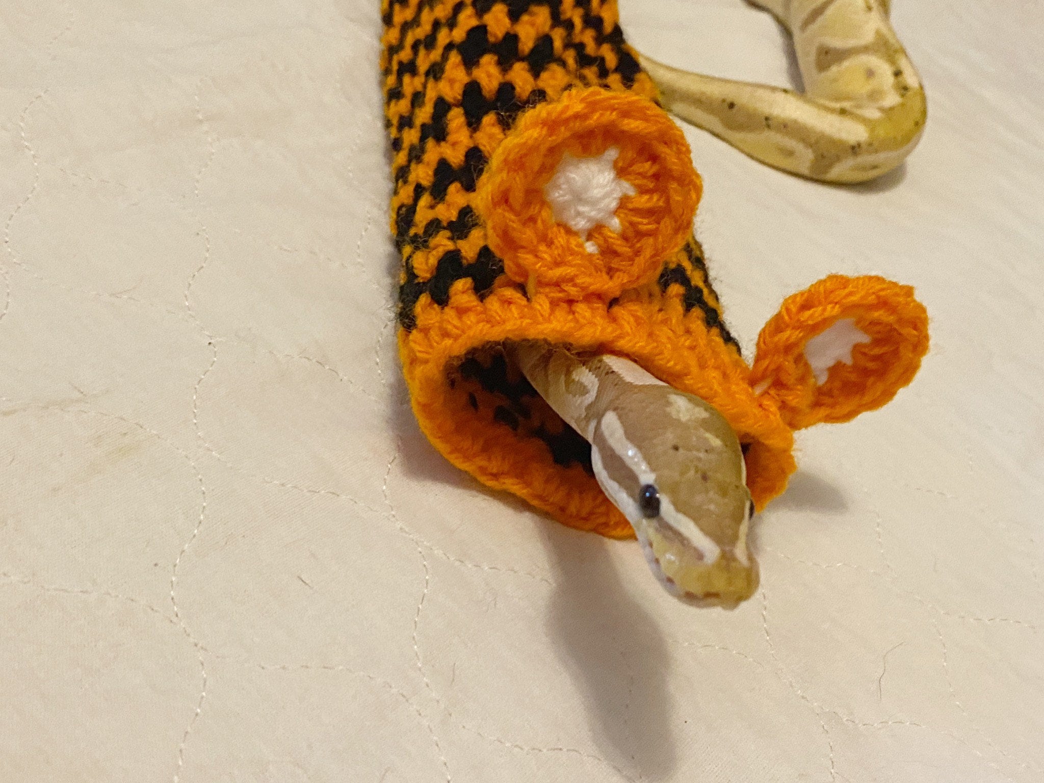 Snakes Wearing Sweaters