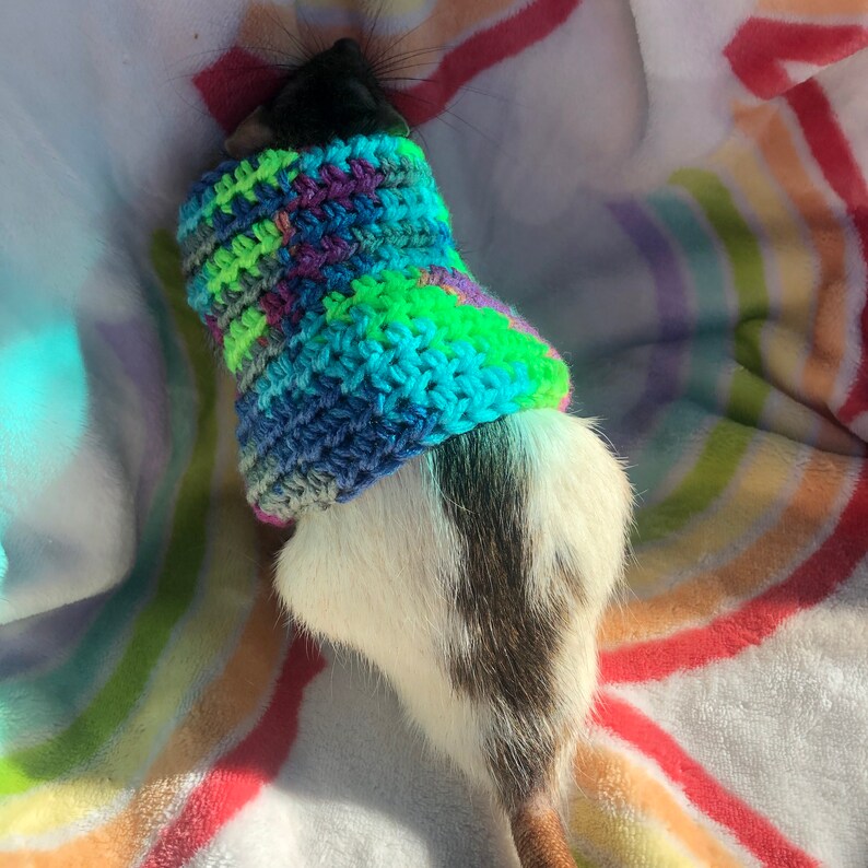 Crocheted Rat Sweater Rat Sweater Rat Clothing | Etsy