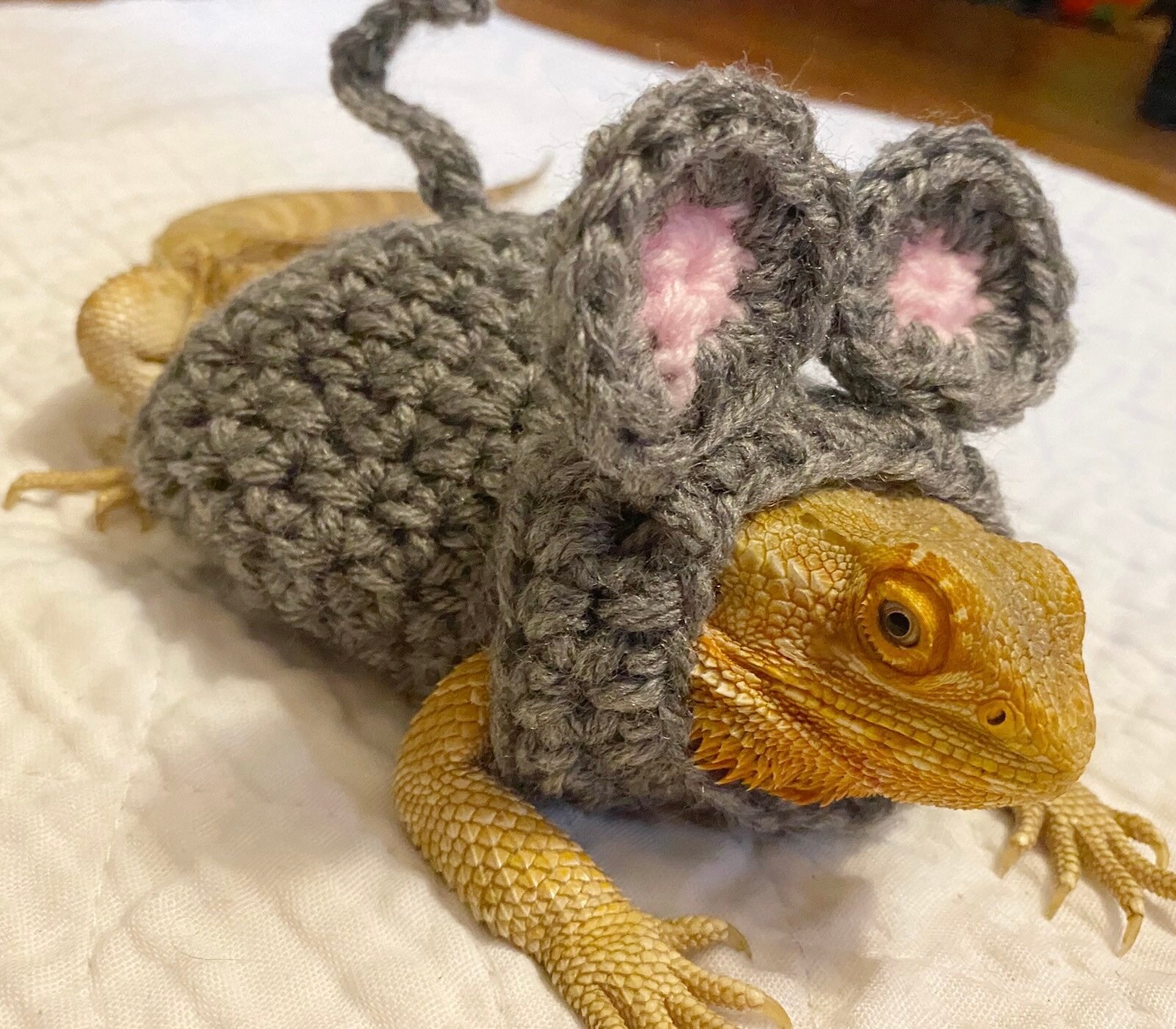 Crocheted Mouse Costume for Bearded Dragon | Acrylic Yarn Outfit - Etsy