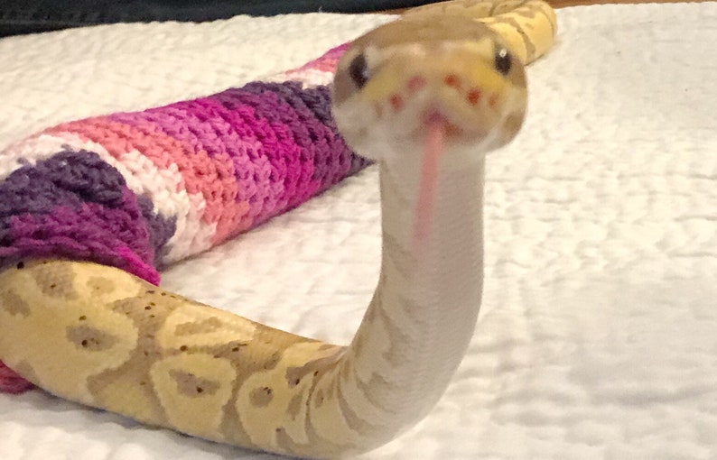 Berry Snake Sweater Crocheted Snake Sweater Crocheted | Etsy