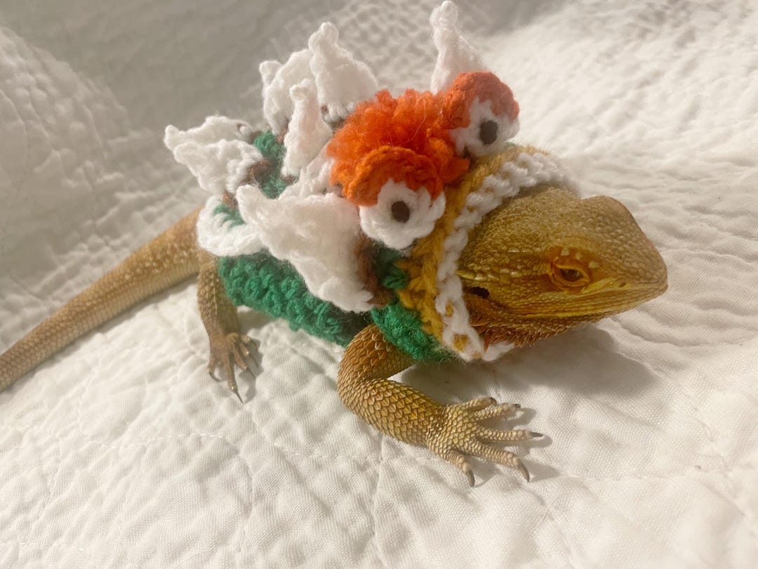 Crocheted Adult Bowser Inspired Bearded Dragon Costume Bearded Dragon ...