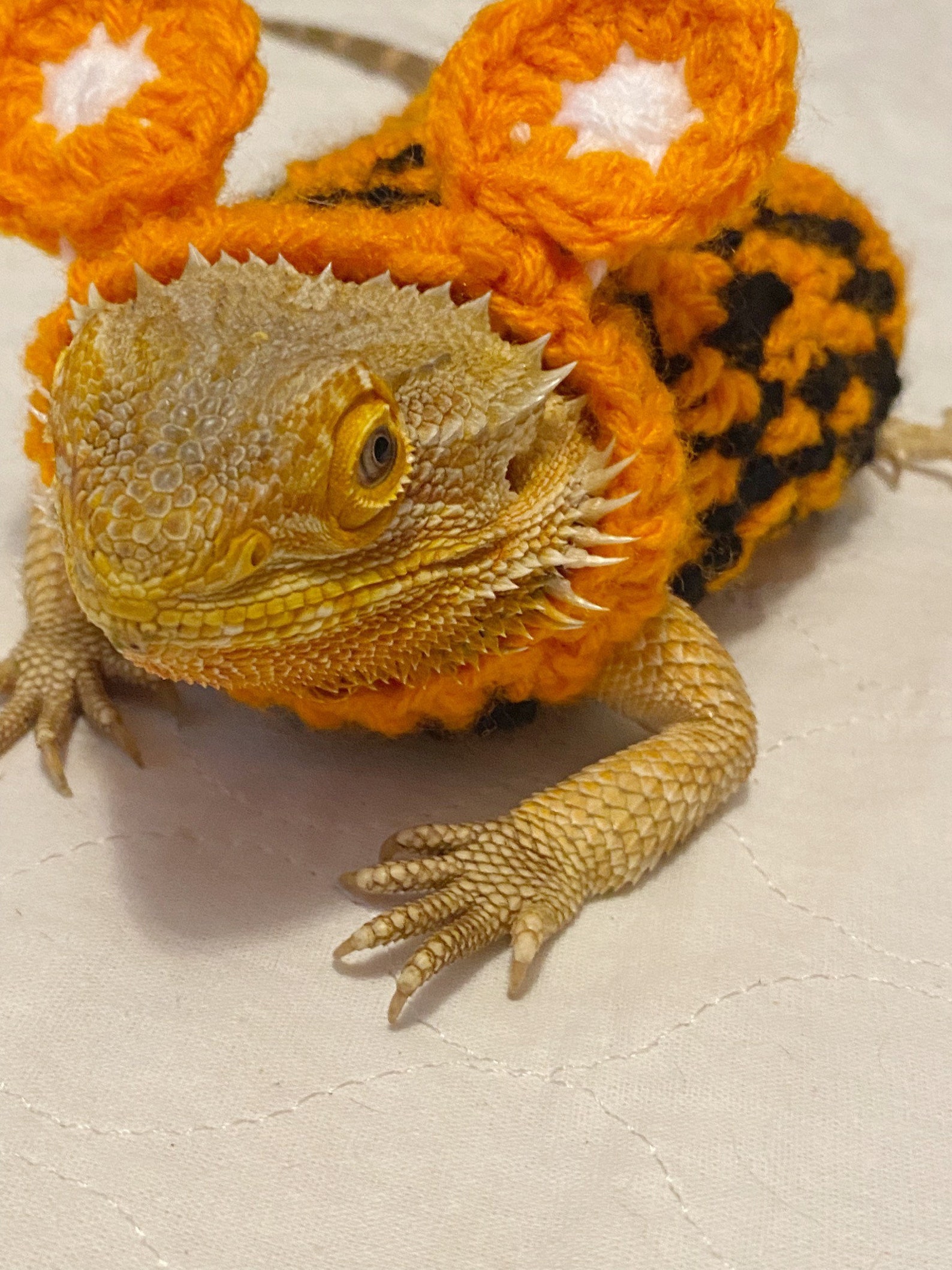 Crocheted Tigger Costume for Adult Bearded Dragon - Etsy