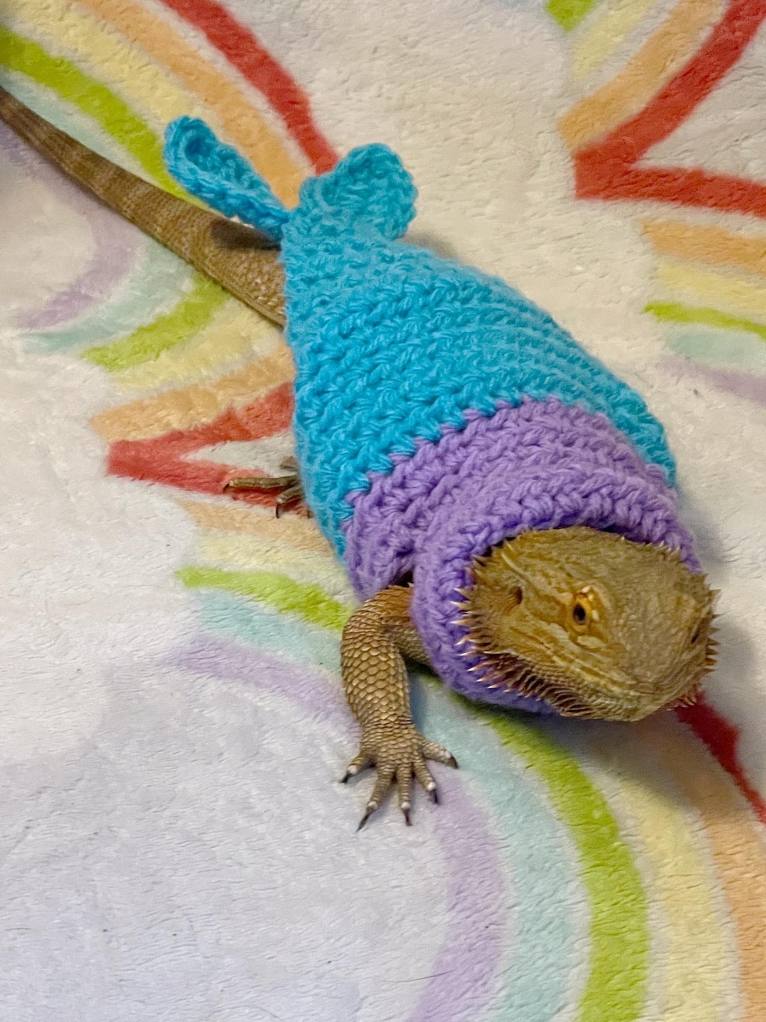 Crocheted Adult Mermaid Bearded Dragon Costume | Bearded Dragon Costume ...