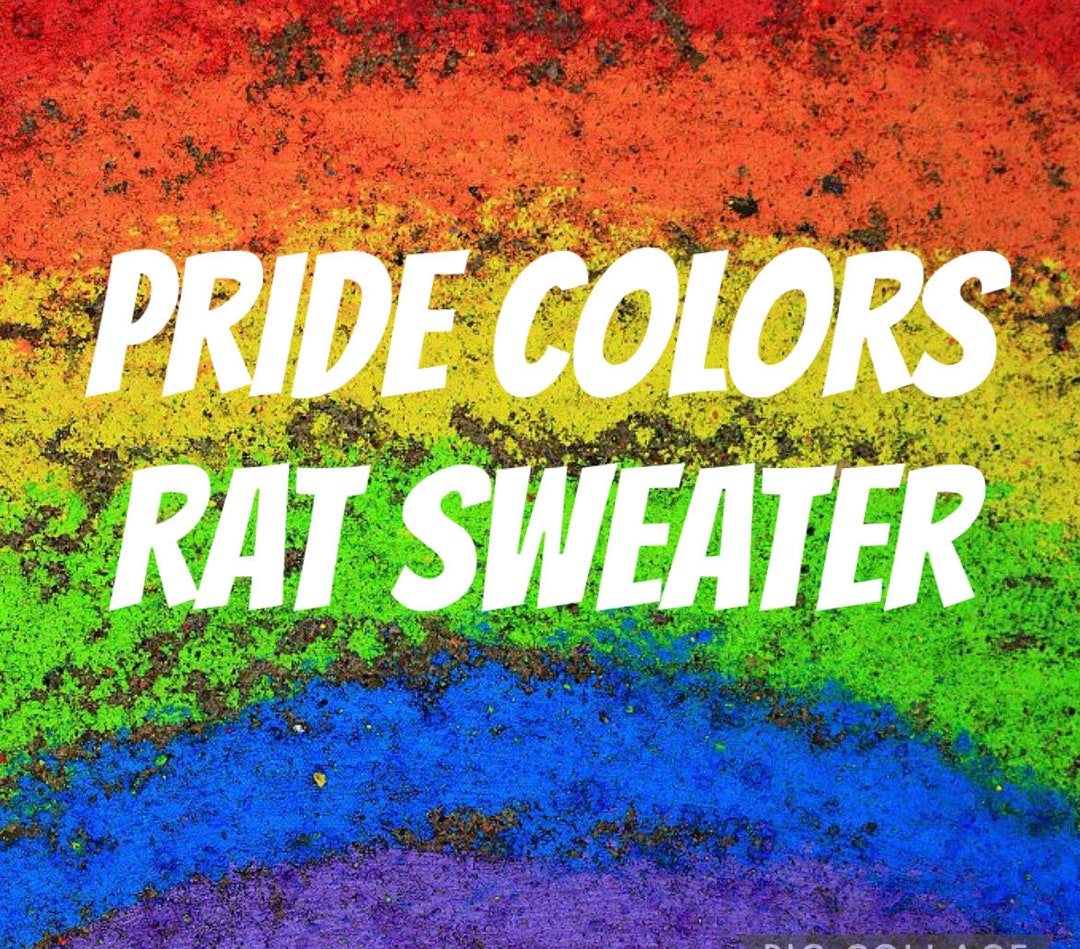 Pride Colors Rat Costume | Rat Sweater | Rat Clothing - Etsy