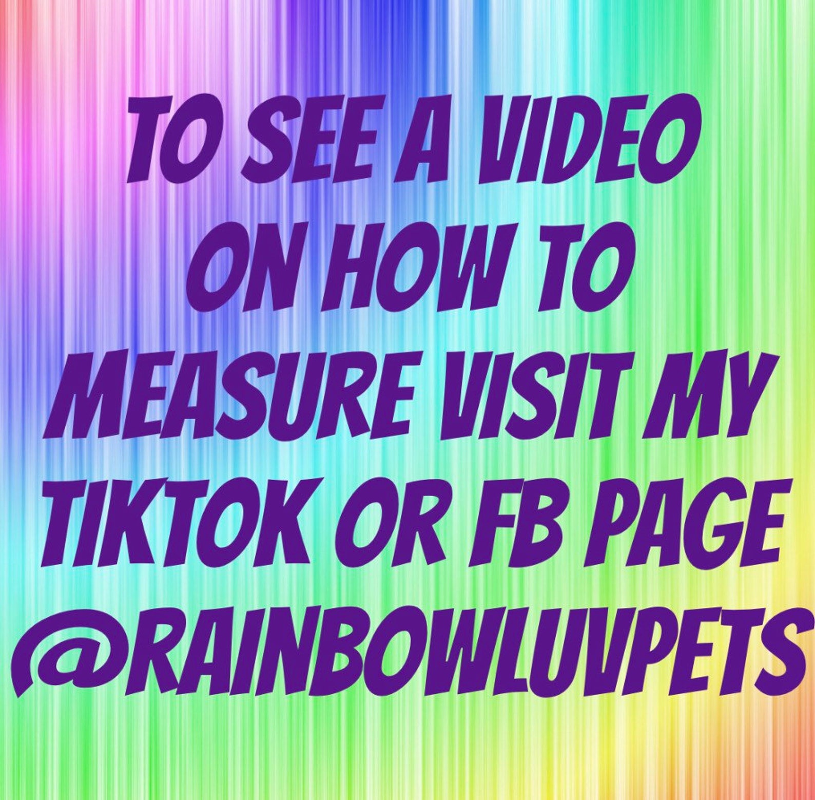 Santa Hat Tortoise Costume Tortoise Hat Tortoise Christmas - Etsy