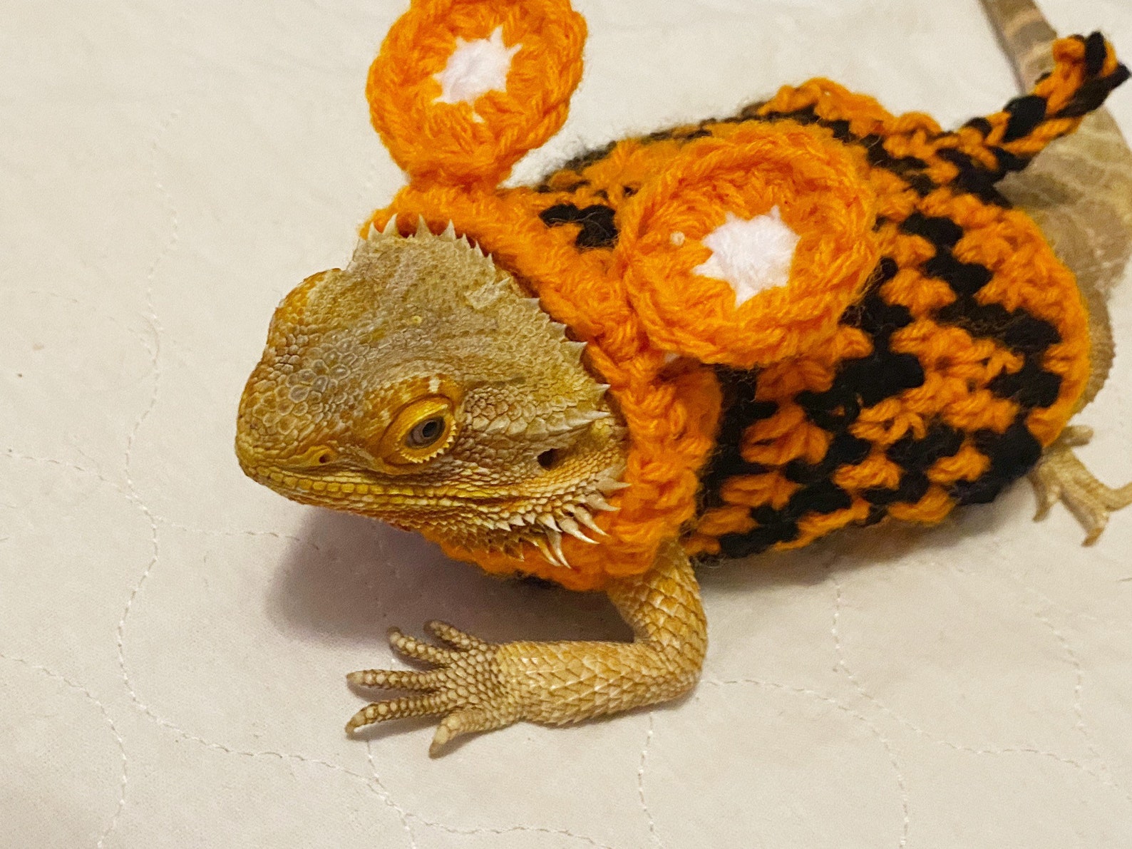 Crocheted Tigger Costume for Adult Bearded Dragon - Etsy