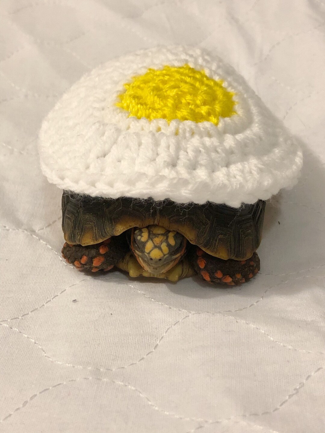 Egg Tortoise Costume | Tortoise Hat | Tortoise Halloween Costume - Etsy