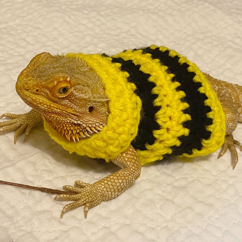 Bearded Dragon Clothes - Etsy