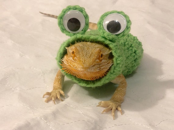 Crocheted Adult Frog Bearded Dragon Costume Bearded Dragon - Etsy