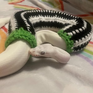 The Ghost With the Most Snake Sweater | Halloween Costume | Crocheted ...