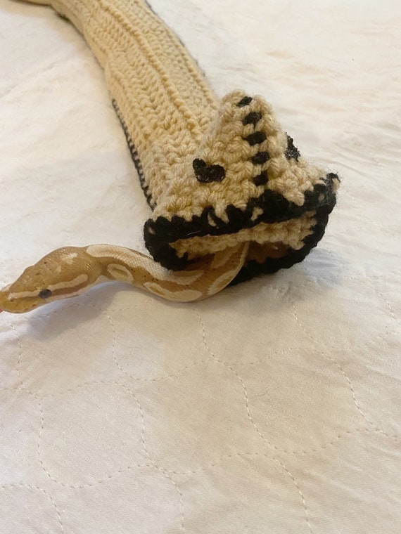 Snakes Wearing Sweaters