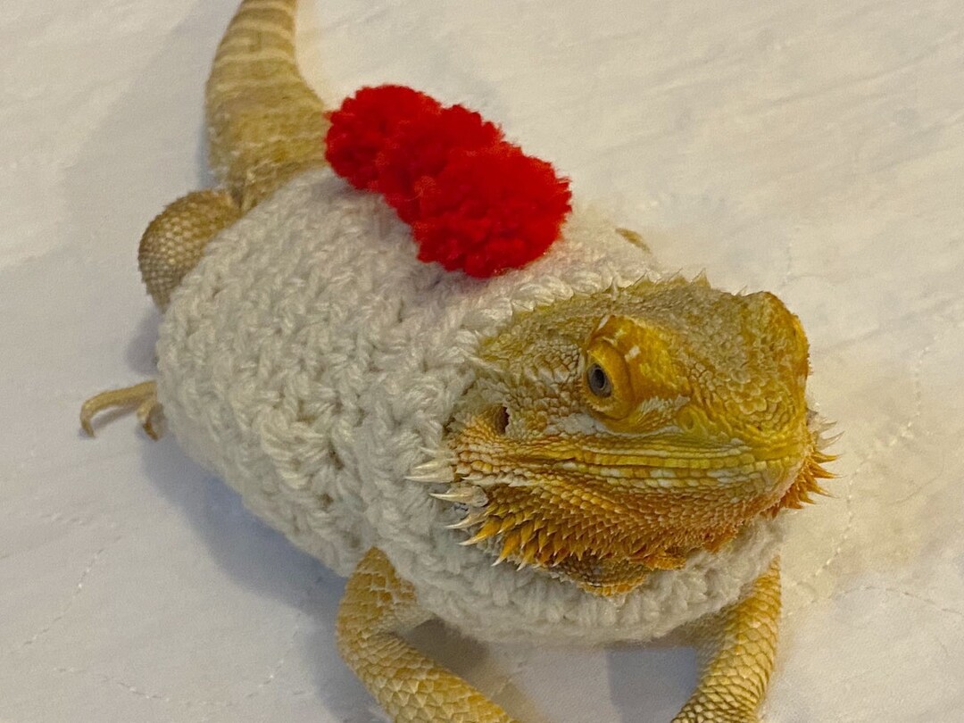 Crocheted Adult Pennywise Bearded Dragon Costume | Bearded Dragon ...