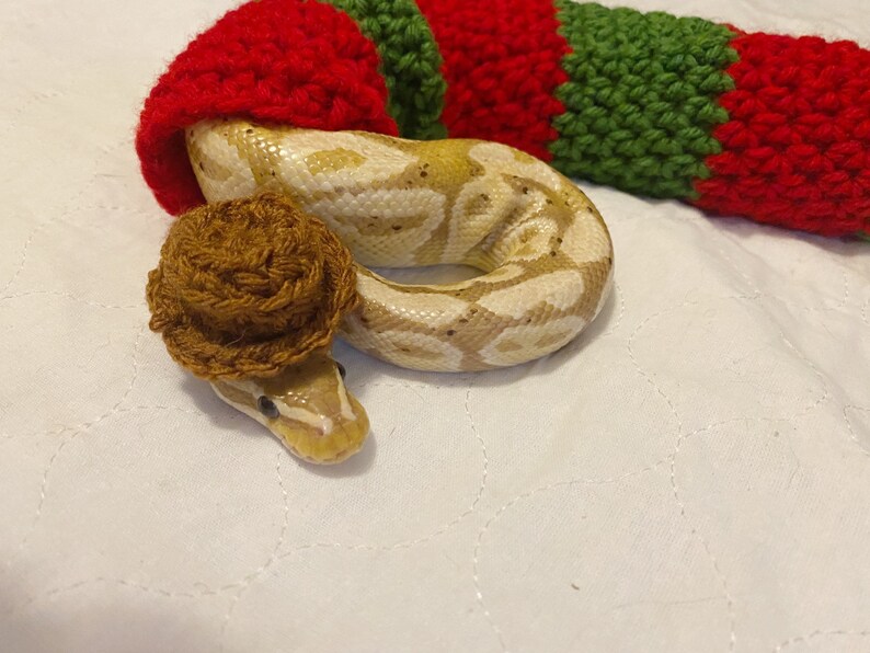 Freddy Krueger Snake Sweater | Halloween Costume | Crocheted Snake ...