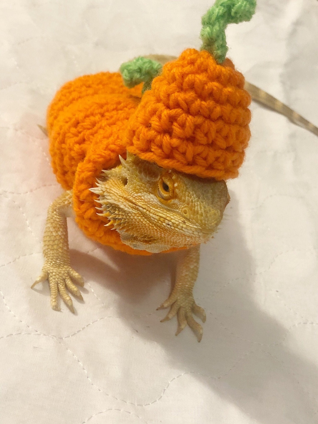 Crocheted Adult Pumpkin Bearded Dragon Costume | Bearded Dragon Costume ...