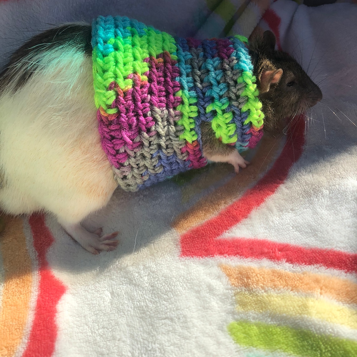 Crocheted rat sweater rat sweater rat clothing | Etsy