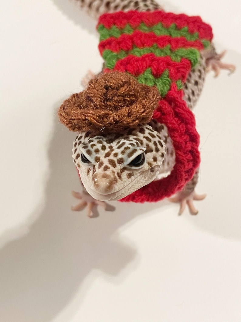 Freddy Gecko Costume | Gecko Cape | Crocheted | Pet Costume - Etsy