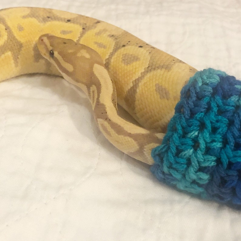 Snake Sweater Crocheted Snake Sweater Crocheted Sweater | Etsy