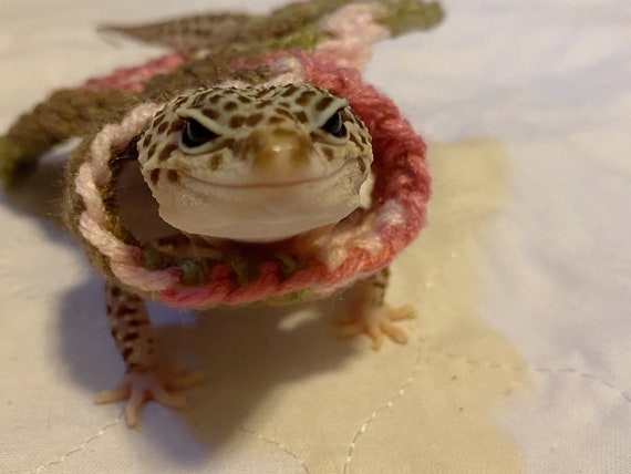 Pink Camo Gecko Costume Gecko Cape Crocheted Pet Costume | Etsy