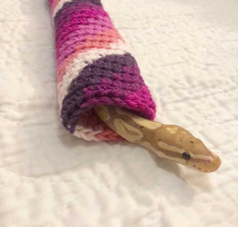 Berry Snake Sweater Crocheted Snake Sweater Crocheted | Etsy