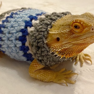 Crocheted Adult Christmas Bearded Dragon Sweater | Bearded Dragon ...