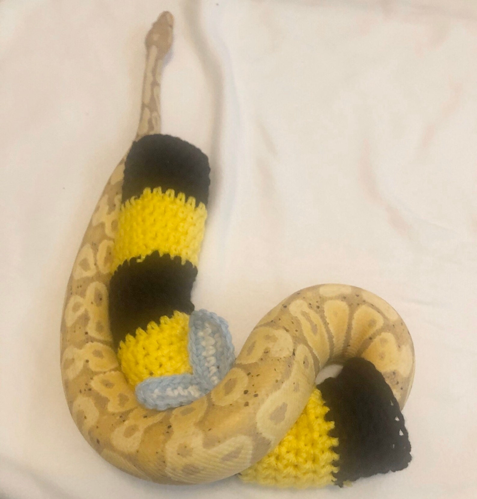 Bee Snake Sweater Halloween Costume Crocheted Snake - Etsy